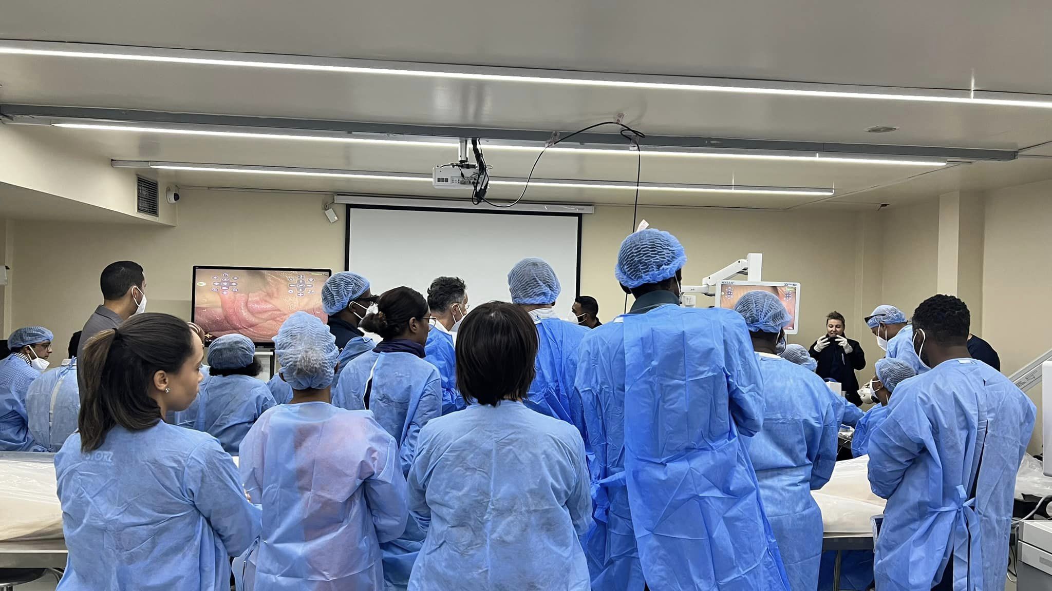 The Discipline of Otorhinolaryngology (Ear, Nose & Throat Surgery ...